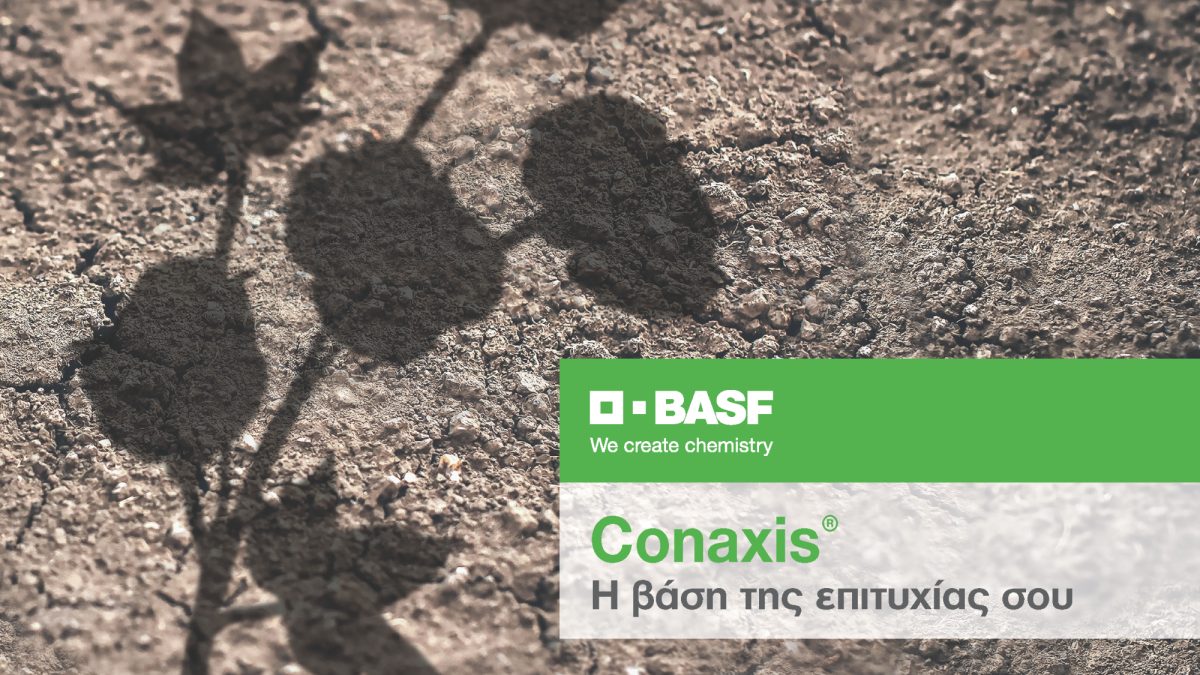 Conaxis