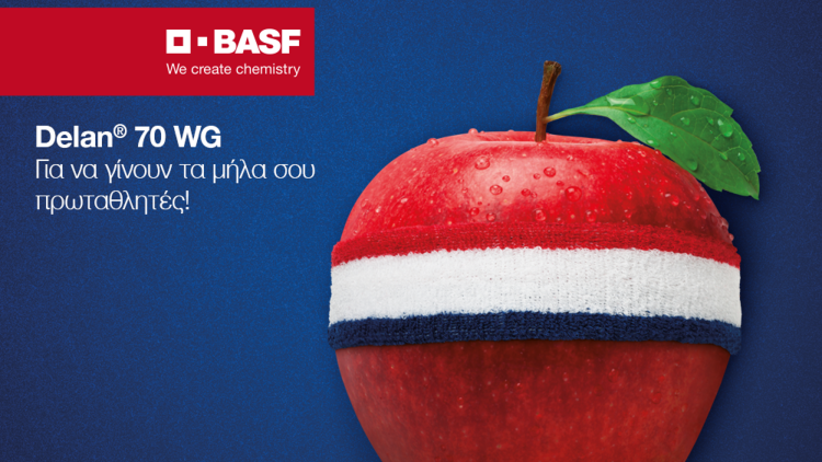 Delan® 70 WG - Agricultural Solutions