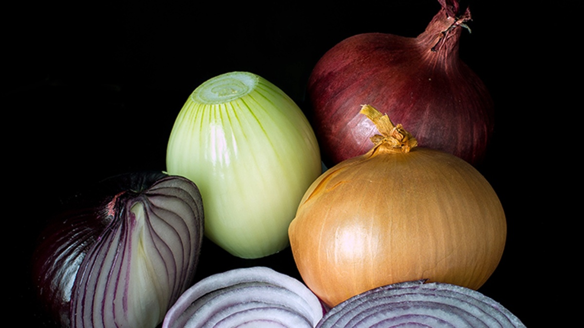 Κρεμμύδι - Agricultural Solutions